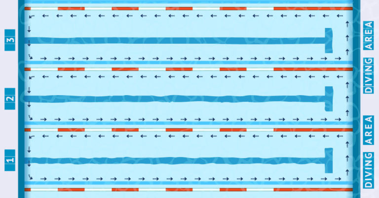 Stay In Your Lane | Guard For Life